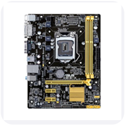 Asus H81 Motherboard– EliteHubs