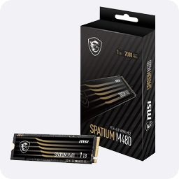 MSI M.2 SSD– EliteHubs