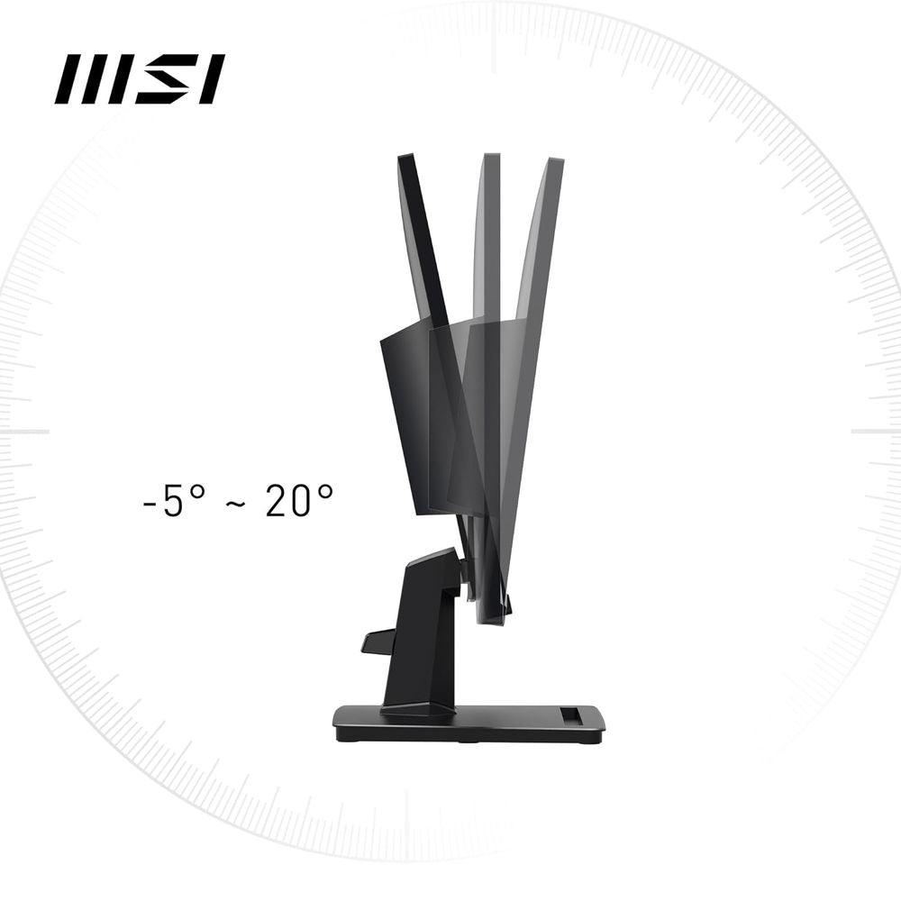 Buy MSI Pro MP251 25 Inch FHD 100Hz IPS Panel 101%SRGB 1MS AMD Freesync ...