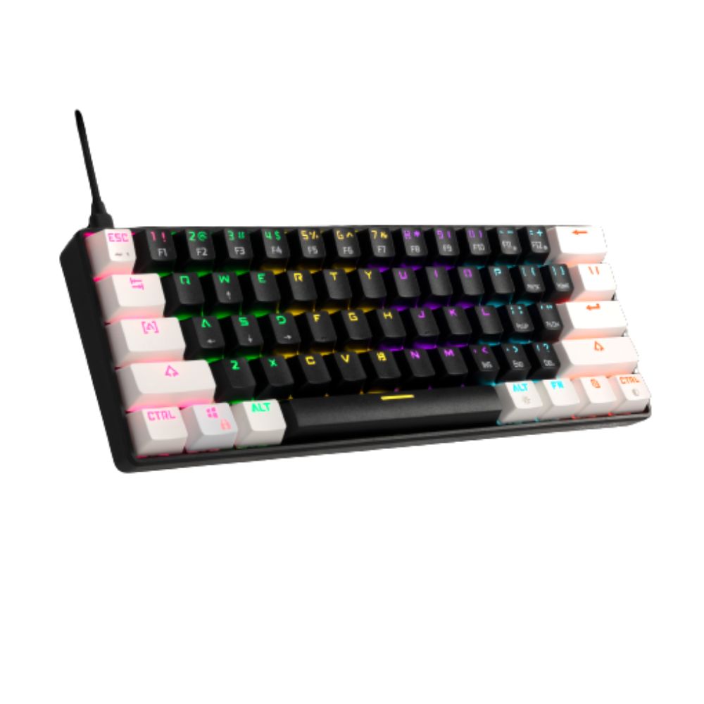Buy GAMDIAS Aura GK2 60% Mechanical Gaming Keyboard (Black-White ...