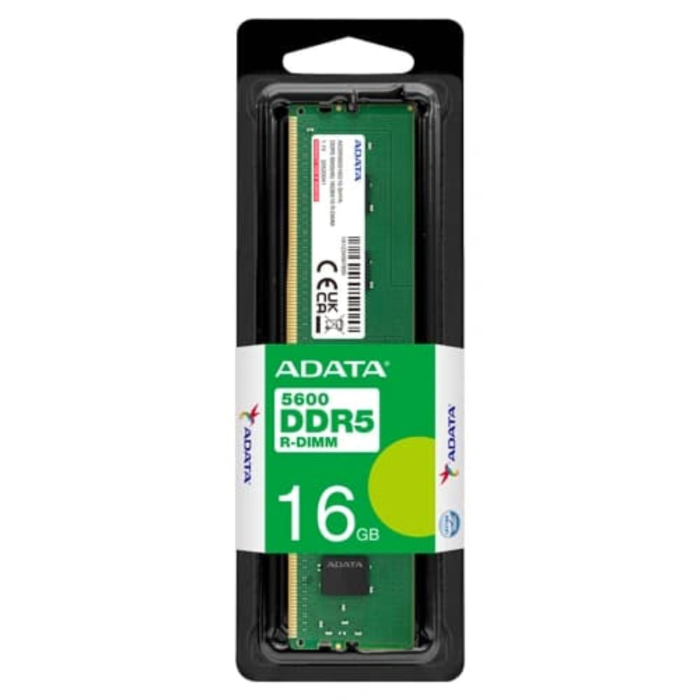 Buy ADATA 16GB ( 16GBx1 ) 5600MHz DDR5 RAM ( Green )( CL46 ...