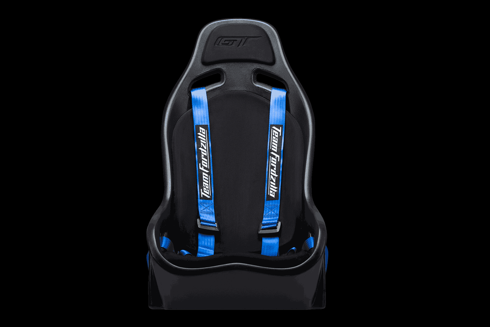 Buy NEXT LEVEL RACING Elite ES1 Racing Simulator Seat Ford GT Edition ...