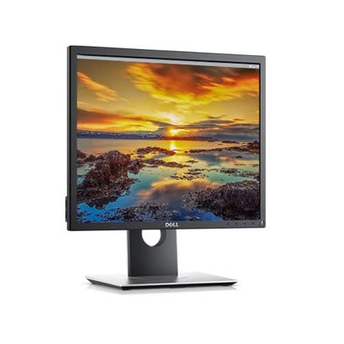 Buy DELL P1917S Professional 19 Inch 60Hz 6MS IPS Monitor | EliteHubs.com